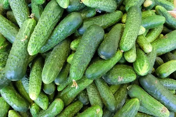 Seveled Cucumbers.