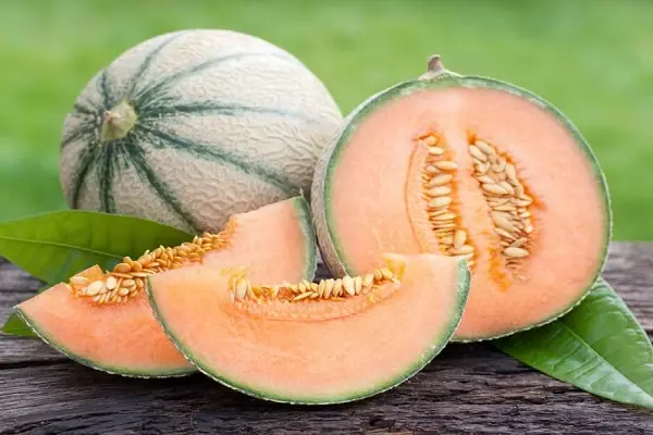 Melone cantalupo.