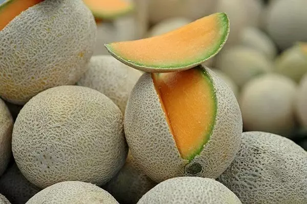 Melon sharani