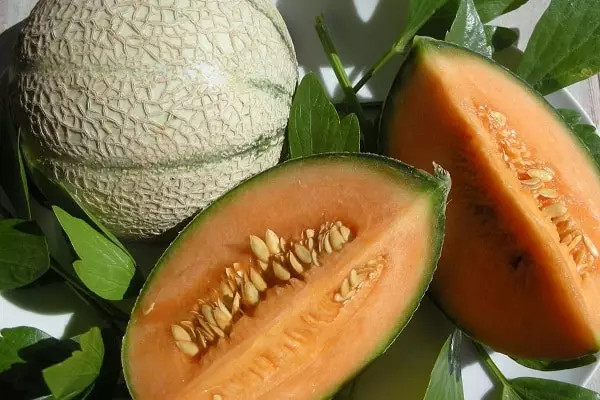 Melone composto