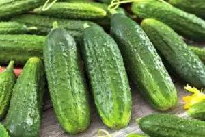 心地よく、他の人がいなくても、Cucumbers esaul、修道院、嫌がらせ、ファラオ