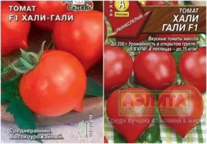 Karakteristikë dhe përshkrimi i shumëllojshmërisë së domate Khali Galy, rendimenti i saj
