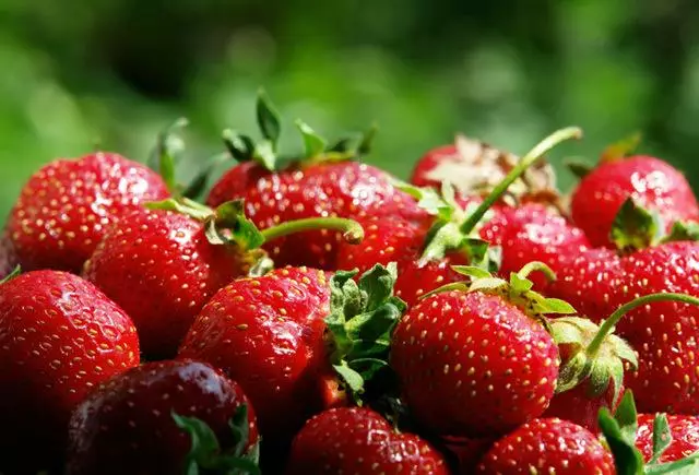 Suamalie strawberry