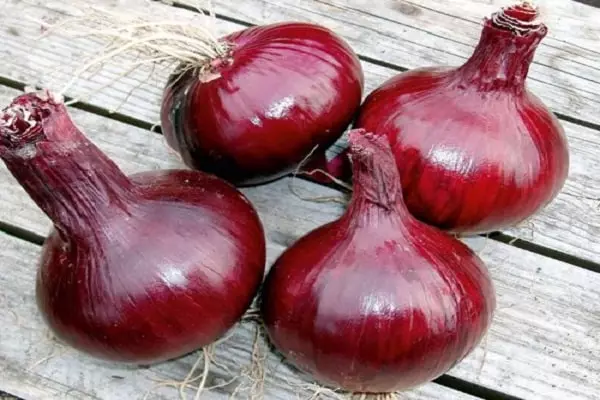 Onion Carmen