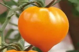 Tomatenmerkmale Honigherz, seine Ertrag