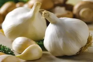 Description of the grade of garlic Gulliver, features of cultivation and care