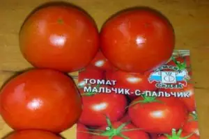 Beschrijving van de tomaten variëteit Jongen met vinger, de kenmerken van cultivatie en zorg