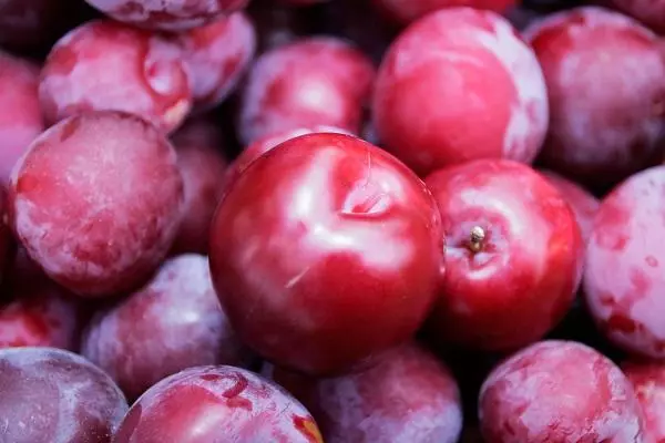 Masaka plum