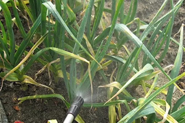 Preparazione del fertilizzante