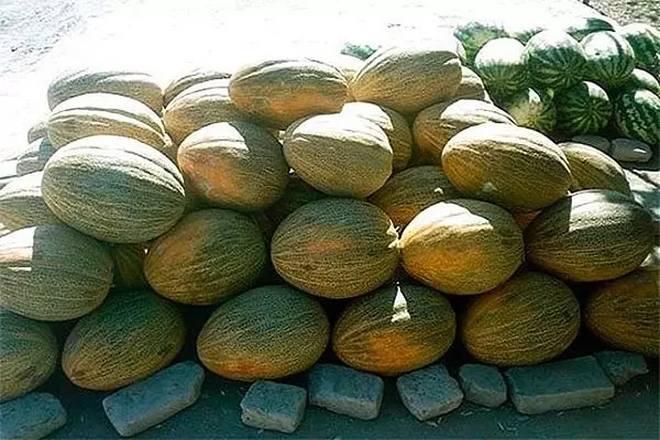 Melon Gulyabi.