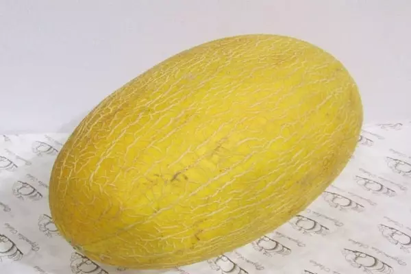Míbhuntáiste Melon