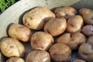 Descrición da variedade de patacas Siegyglazka, o seu cultivo e coidado