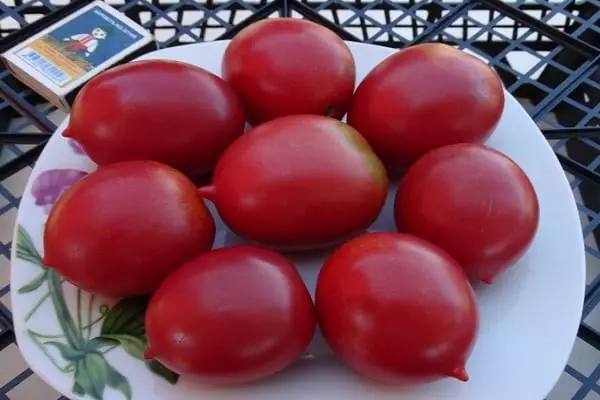 Jenis Bruside Tomato