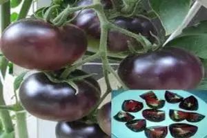 Danasîna Tomato Tomato Pearlên Reş, taybetmendiyên mezinbûn û lênêrîn
