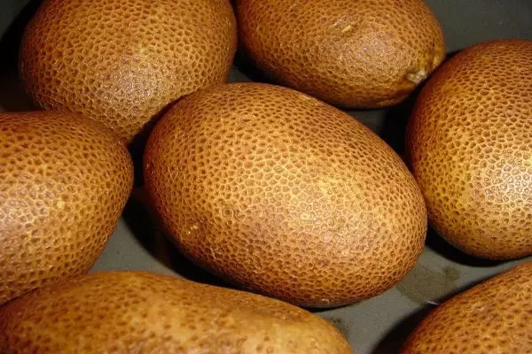 Kiwi stupeň brambory