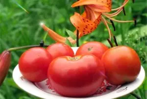 Karaktäristik och beskrivning av sorterna av tomater sibiriska, sibiriska och moderns Sibiryak, deras utbyte