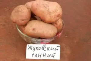 Descripció del grau de patata Zhukovsky primerenc, característiques de cultiu i cura