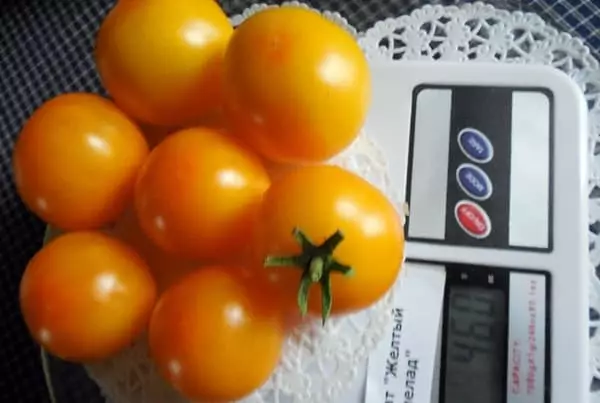 Ymddangosiad Tomato Marmalêd Melyn