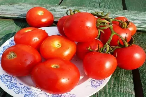 番茄阿罕布拉