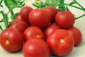 番茄慷慨等級的描述，培養和產量的特殊性