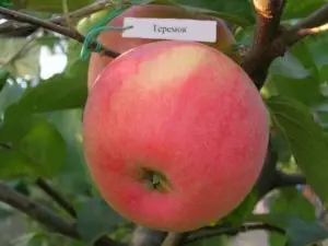 Descrizione della varietà di Tremas Apple, la storia dell'allevamento e della resa