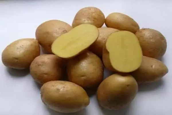 картопля Імпала
