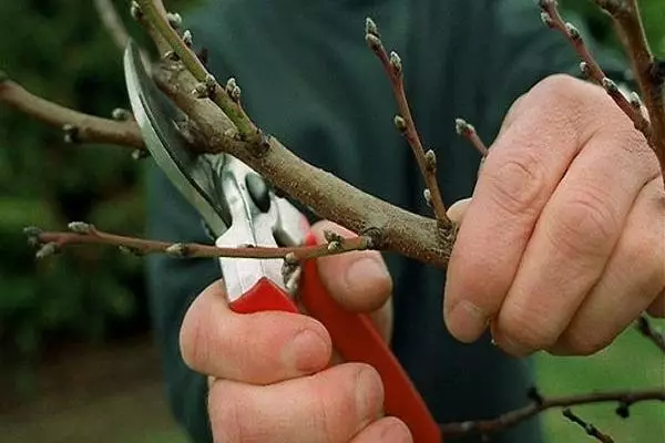 Forming trimming