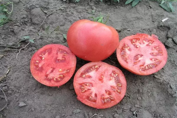 Salsas para el invierno