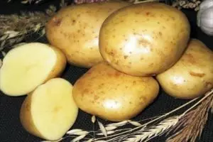 Опис на разновидноста на компири Kolobok, особеностите на одгледување и нега