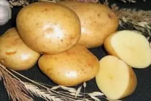 Beschrijving van de aardappelgala-variëteiten, eigenaardigheden van cultivatie en zorg