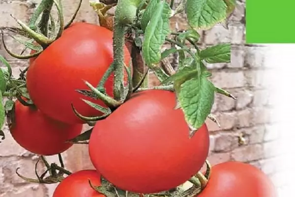 Opari tomatea
