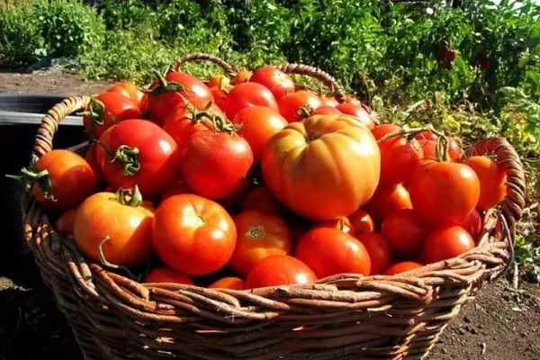 Tomaten abtrennen.