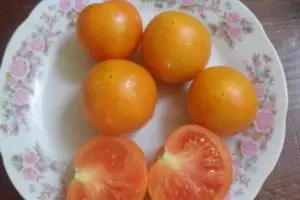 Popis odrody paradajok zlatova, jeho charakteristík a kultivácie