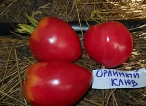 Karaktäristik och beskrivning av tomatomatomatomato, dess avkastning