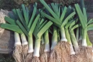 Kailan mo kailangang alisin ang leek na may kama ng imbakan?