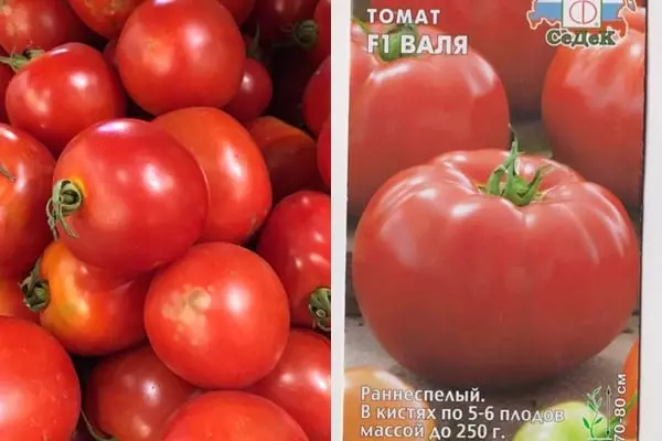 Semená Tomato Valya