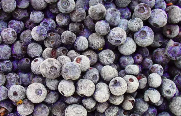 blueberries ເຢັນ