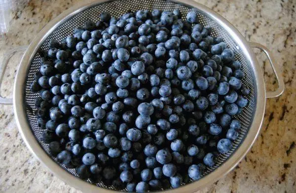 Blueberry fyrir matreiðslu