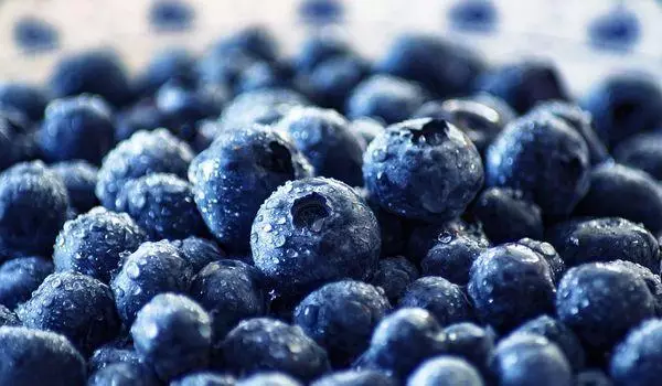 blueberries ສົດ