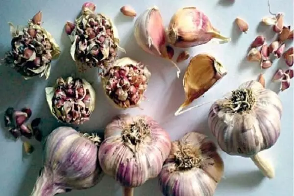 Dhaqanka Garlic