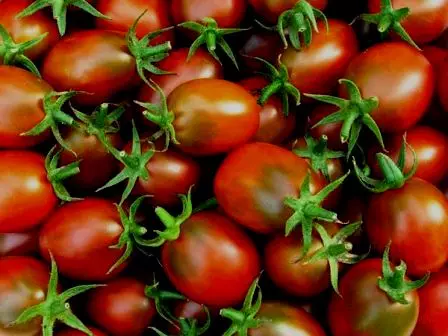 Tashqi ko'rinishi pomidor Ustinya