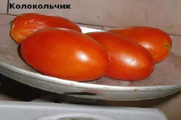 Mudas de tomates.