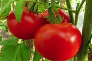 Paglalarawan ng Tomato Currency Tomato at mga katangian nito