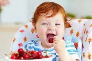Користь і шкода черешні для здоров'я, калорійність і склад, як зберігати ягоду