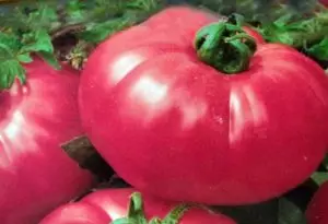 Kuvaus Tomaatti Tea Rose ja lajikkeen ominaisuudet