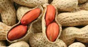 Popis odrůd a typů arašídů, užitečných a škodlivých nemovitostí, přistání a péče