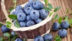 Kiel plej bone teni blueberries por la vintro hejme en la freŝa formo
