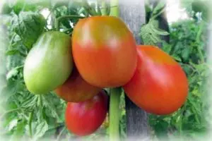 Tomato variasi nyepelake agro, macem-macem fitur lan perawatan perawatan