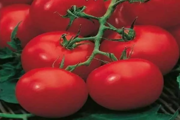 Tomates à Teplice