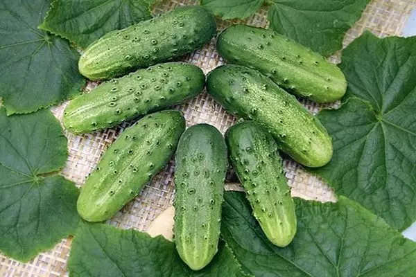 Cucumbers उत्पन्न